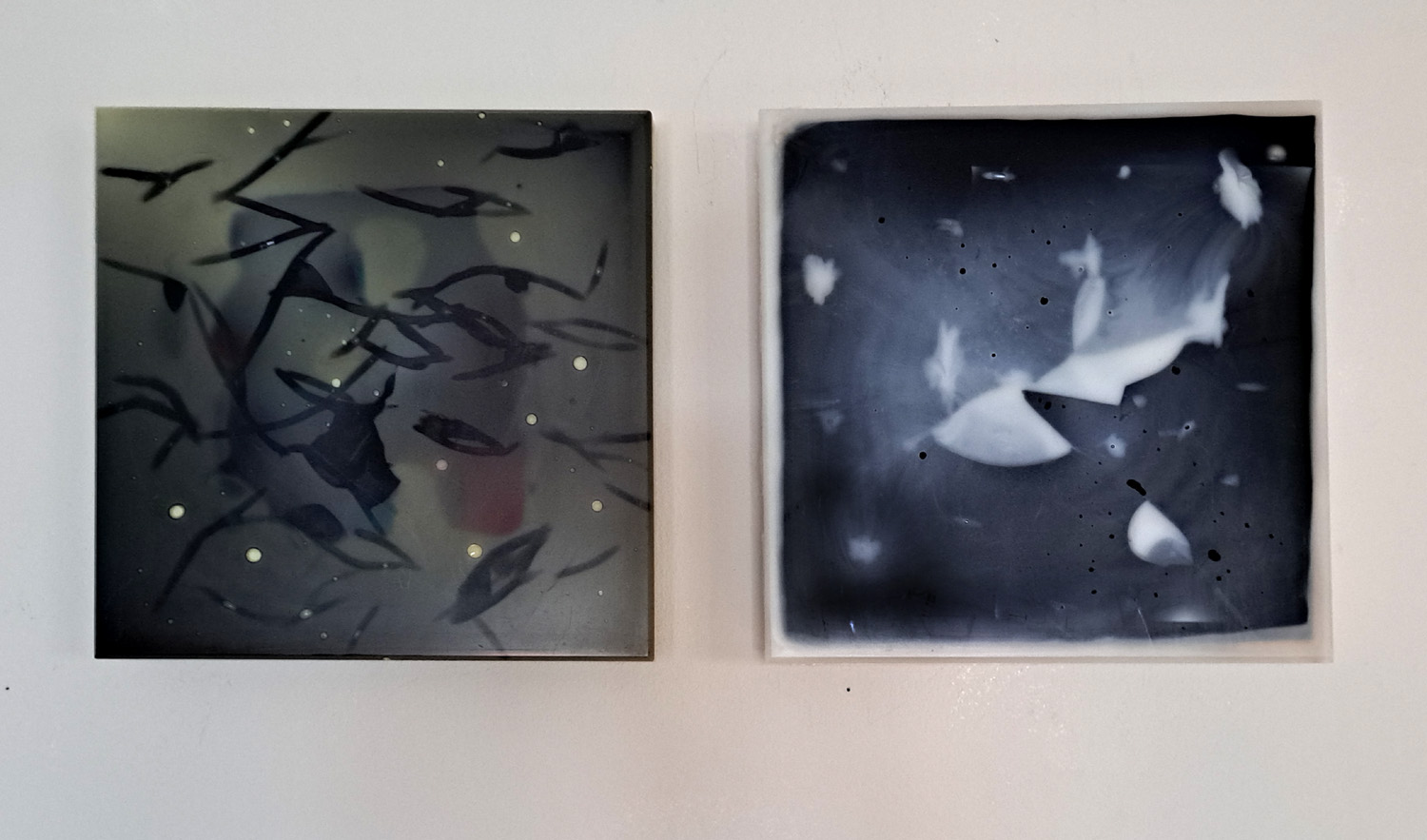 FOKUS FARBE – Kunstverein Germersheim